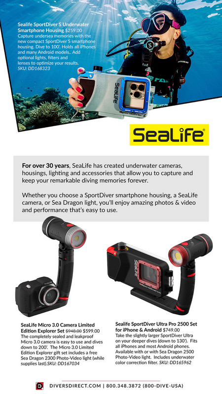 Divers Direct - 2025 summer eguide - Page 16